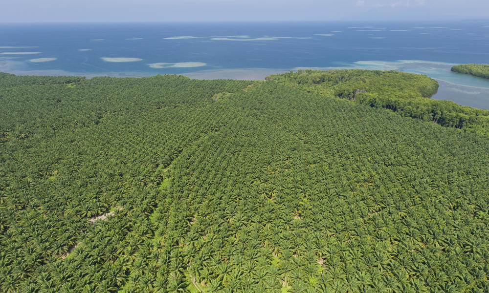 Harnessing Forces for Conservation | Initiatives | WWF Harnessing Forces for Conservation | Initiatives | WWF