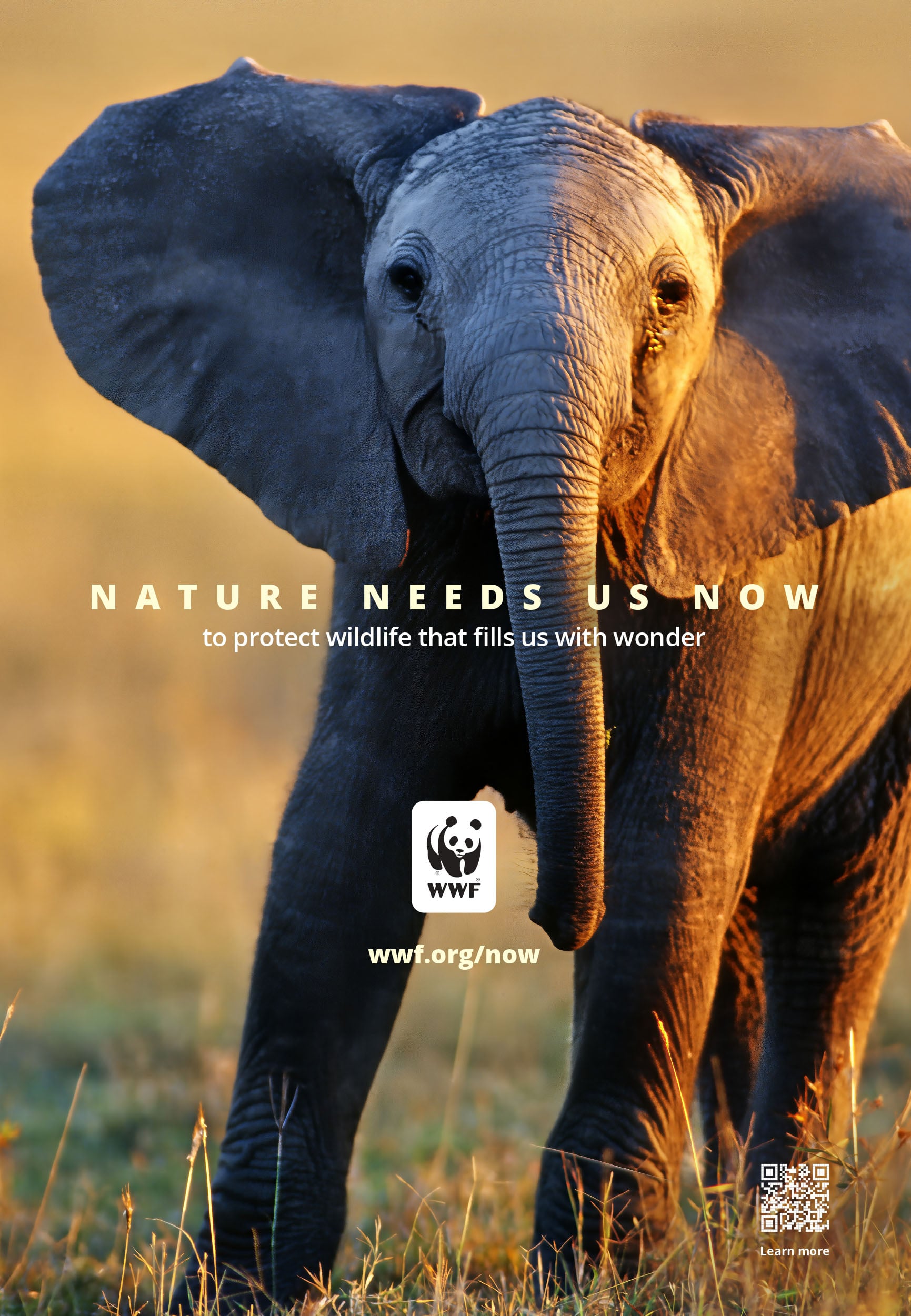 Public Service Advertisements (PSA) | World Wildlife Fund