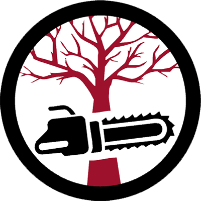 Illegal Resource Trade Threatens Ecosystems and Security | World ...