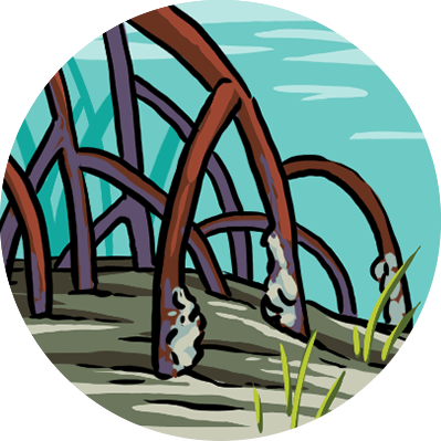 Mangrove Conservation for Climate Resilience | World Wildlife Fund