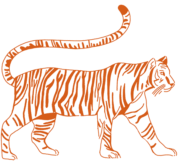 Doubling Down: Global Efforts to Save Wild Tigers | World Wildlife Fund