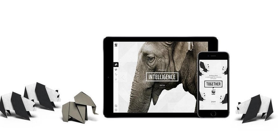 WWF's educational apps | World Wildlife Fund