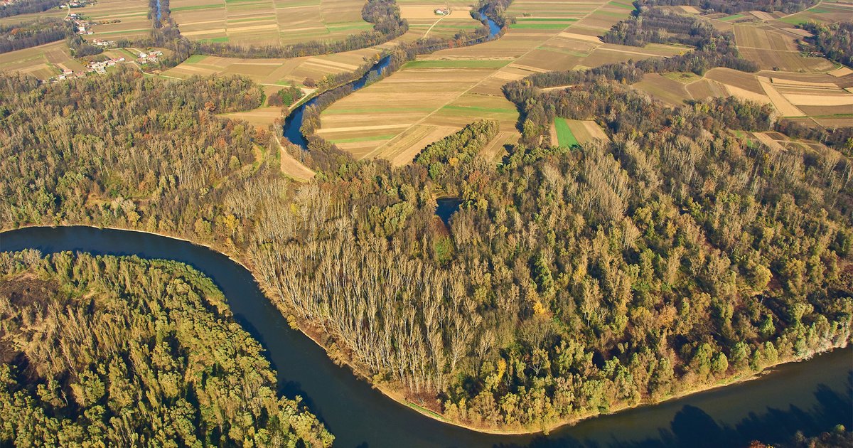 WWF Study Reveals 509 Dams Threaten Protected Areas | WWF