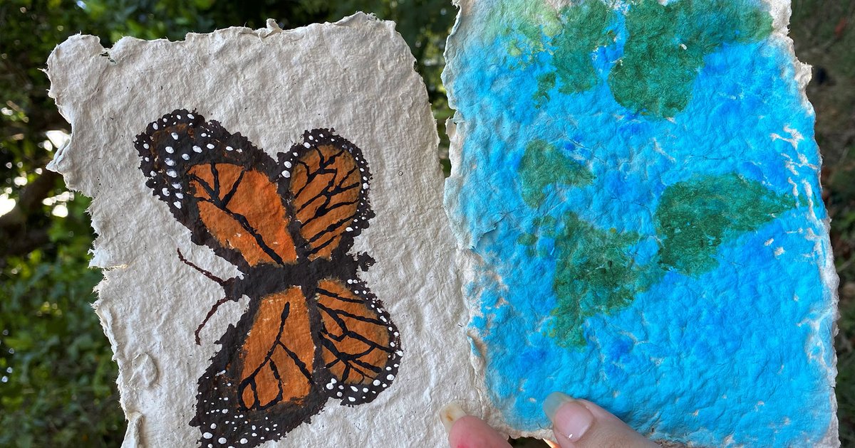 WWF Panda Ambassador Toolkit: All Resources | World Wildlife Fund