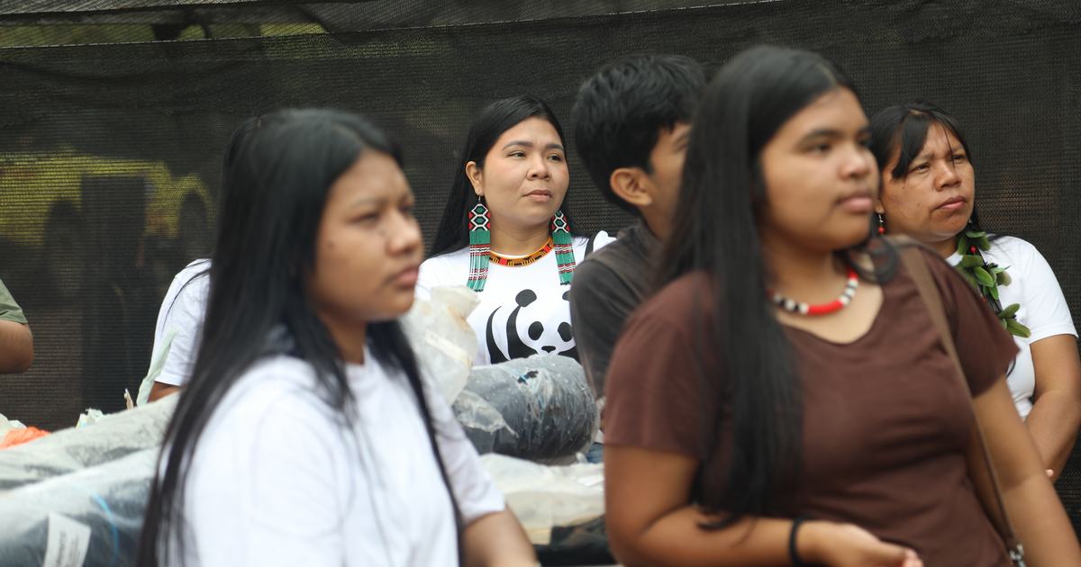 Lessons Learned From the Amazon's Indigenous Paiter Surui People | WWF
