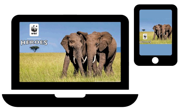 Welcome, WWF heroes! | WWF