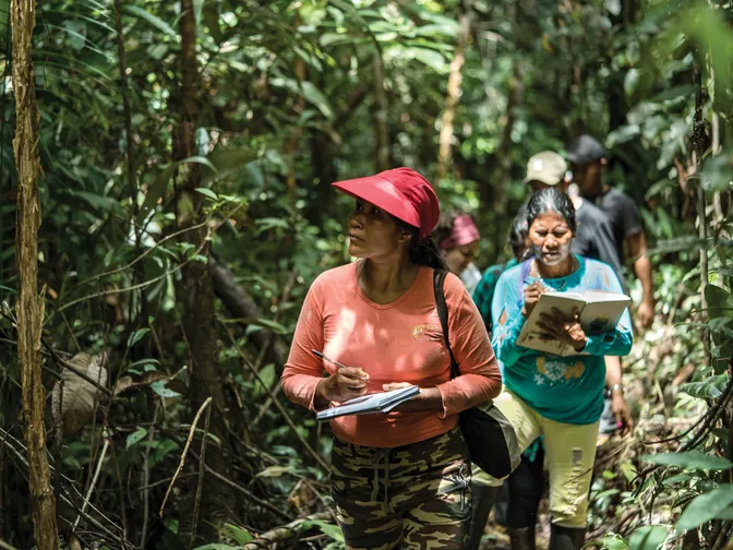 Sustainable Paiche Farming in the Peruvian Amazon | World Wildlife Fund