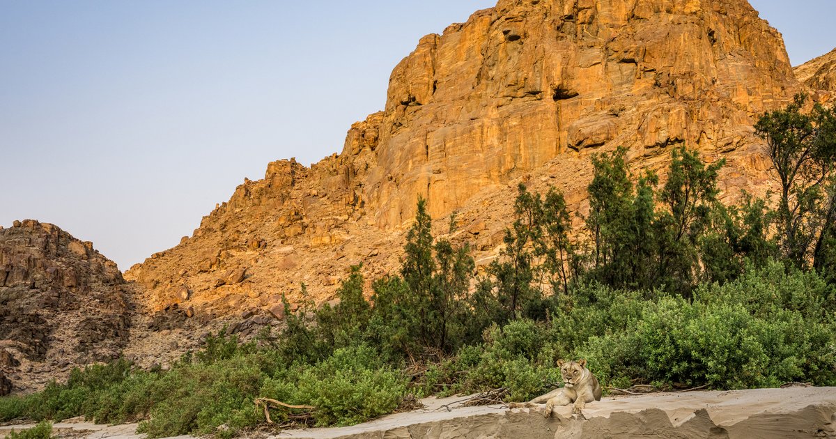 Moving Forward: WWF’s Vision for Namibia’s Conservation Future | WWF