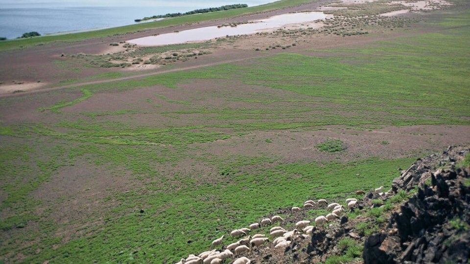 صحنه سکس خانوادگی