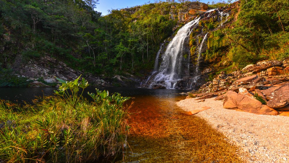 Saving the Cerrado from Deforestation | World Wildlife Fund
