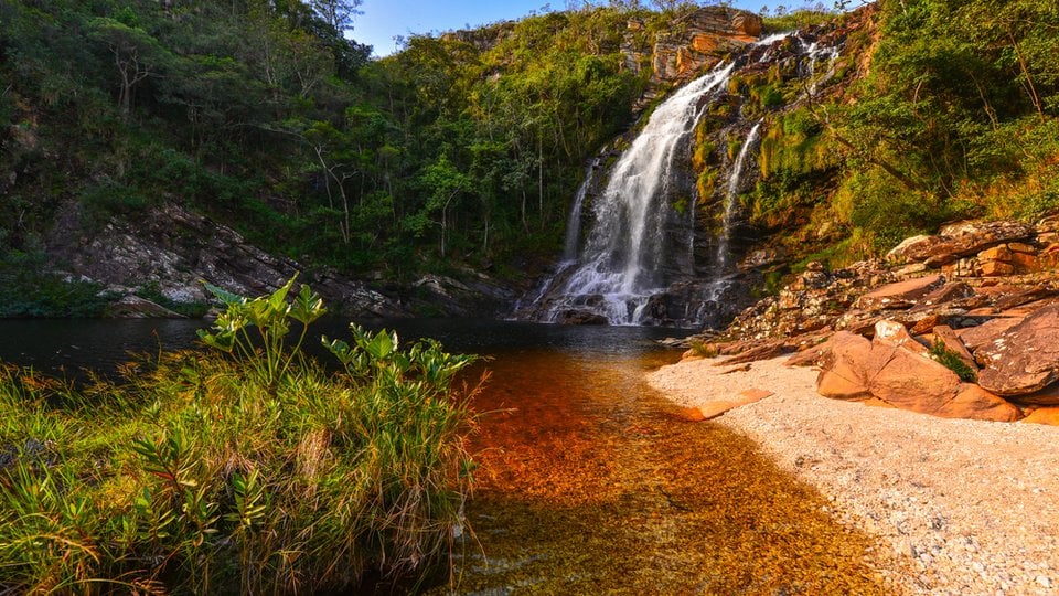 Saving the Cerrado from Deforestation | WWF