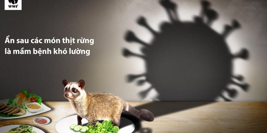 Wild Meat Risks: Health, Wildlife & Behavior Change | World Wildlife Fund