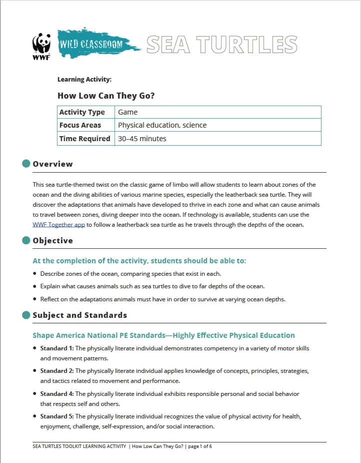 Teaching Tools on Sea Turtles and Oceans | World Wildlife Fund