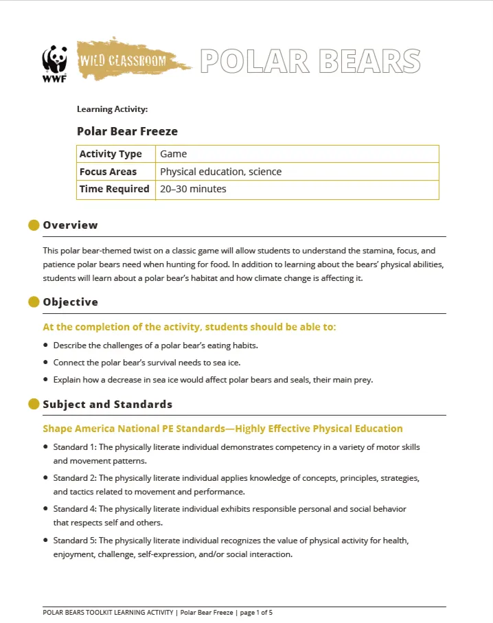 Teaching Tools on Polar Bears and Climate Change | World Wildlife Fund