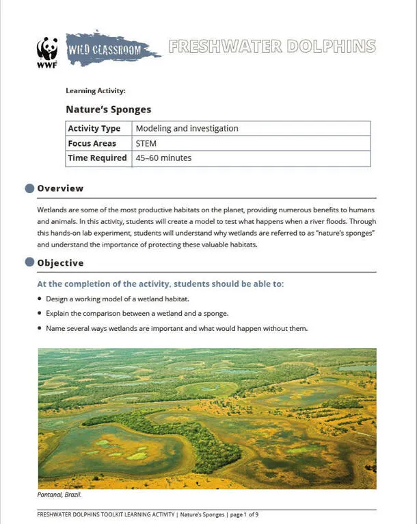 Hands-on STEM and science activities | World Wildlife Fund