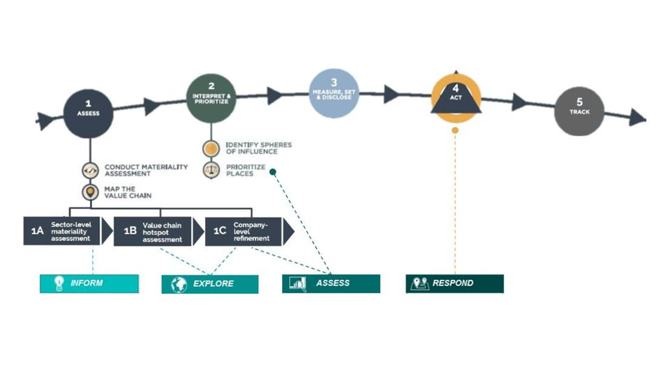 WWF Risk Filter Suite Helps Businesses Protect Nature | World Wildlife Fund