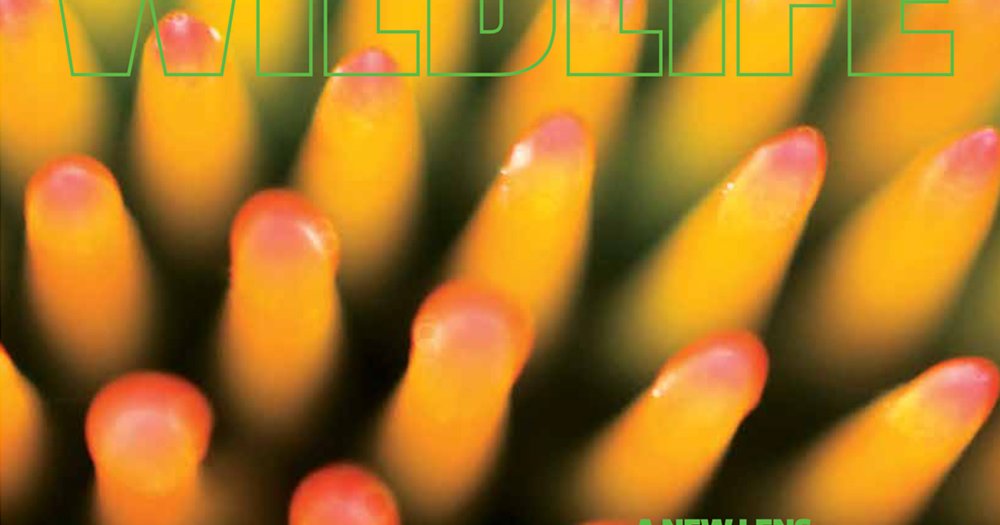 World Wildlife Magazine: Fall 2021 | World Wildlife Fund