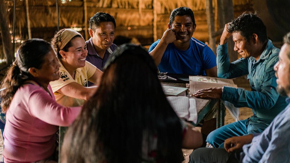 Working with WWF | World Wildlife Fund