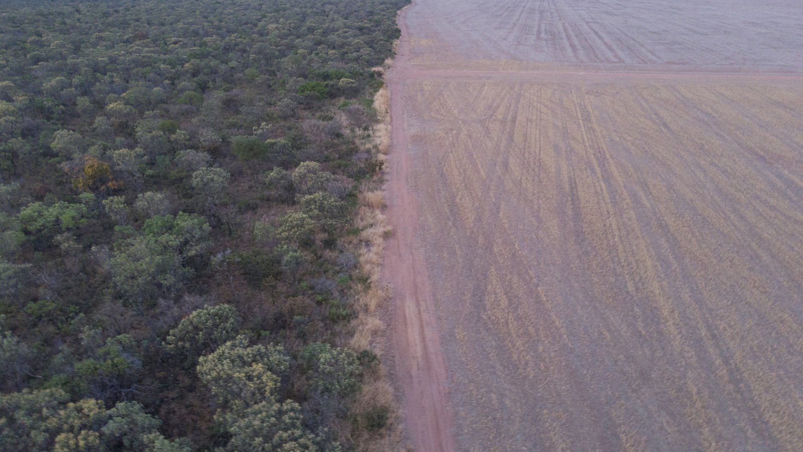 Saving the Cerrado from Deforestation | World Wildlife Fund