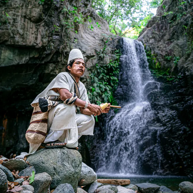 From potential to action | World Wildlife Fund