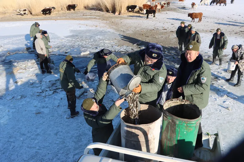 Rescuing a Million Fish from a Freezing Pond in Mongolia | World ...