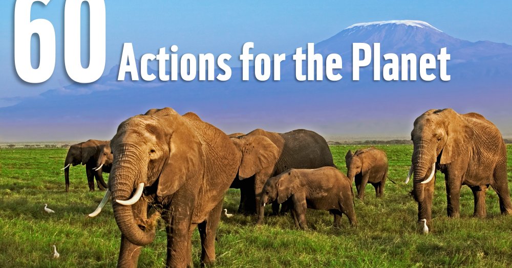 60 Actions for the Planet | WWF