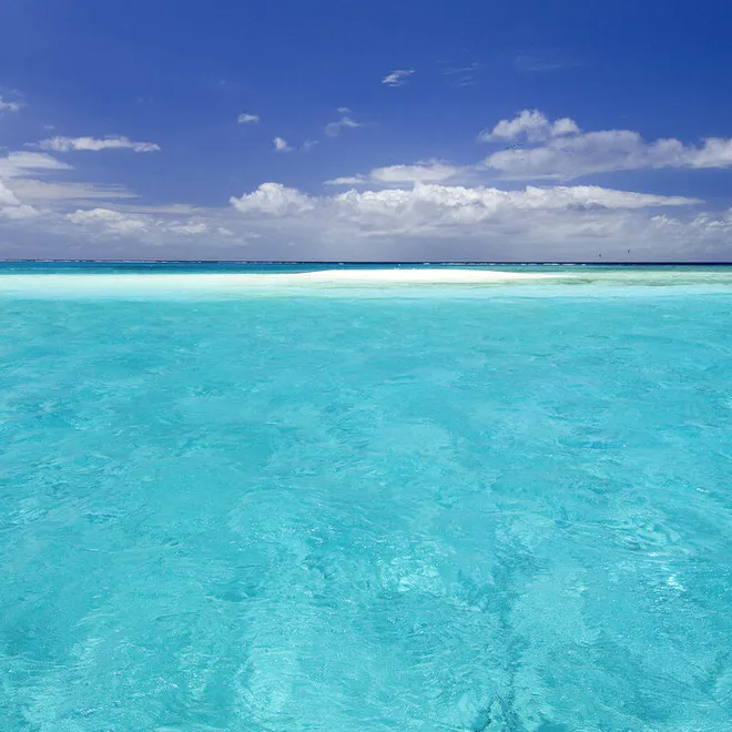 Celebrate World Oceans Day with WWF and Royal Caribbean | World ...