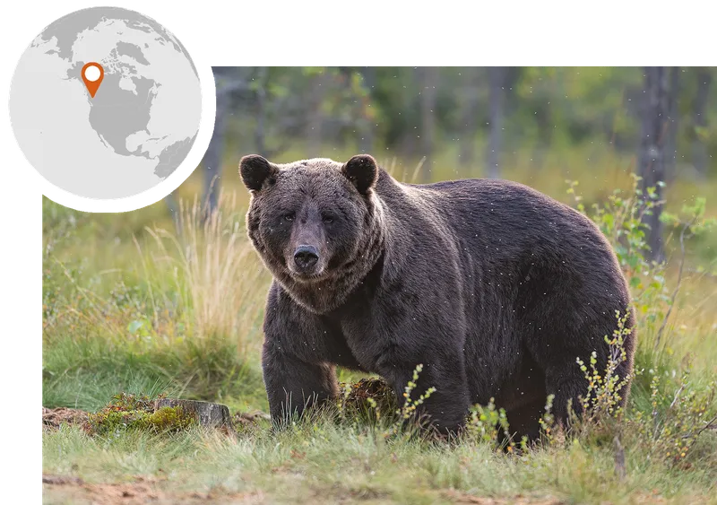 What is human-wildlife coexistence? | World Wildlife Fund