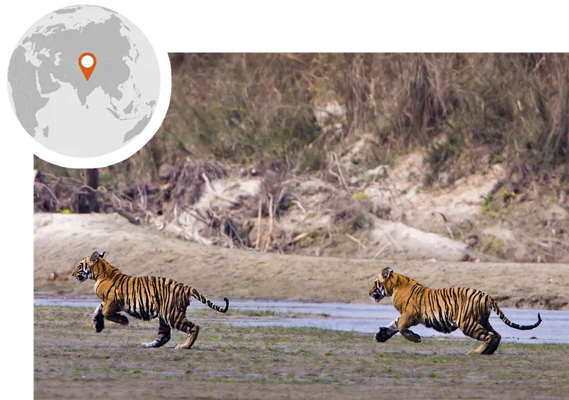 What is human-wildlife coexistence? | World Wildlife Fund