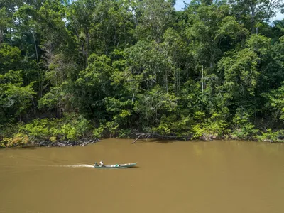 Brazil and local communities key to conserving Amazon rainforest ...