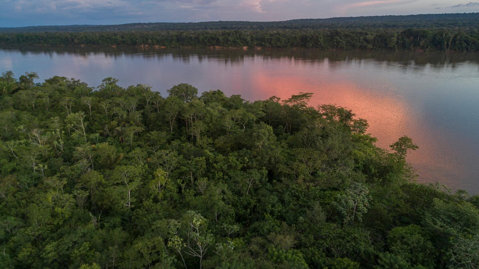 Brazil and local communities key to conserving Amazon rainforest ...