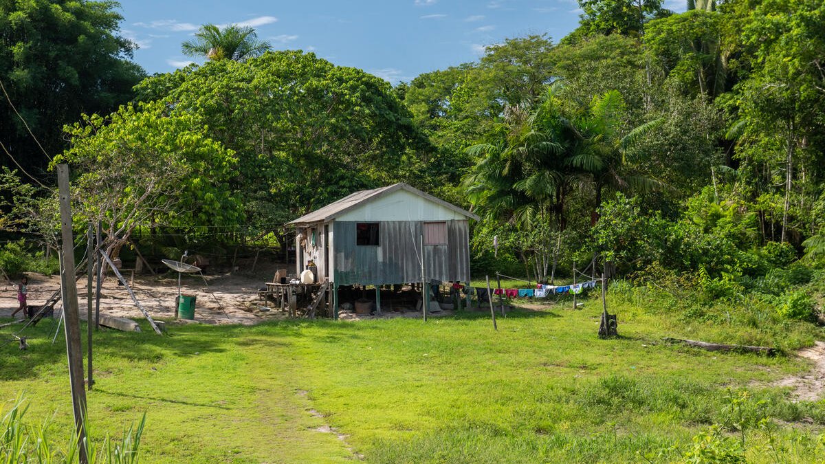 Brazil and local communities key to conserving Amazon rainforest ...