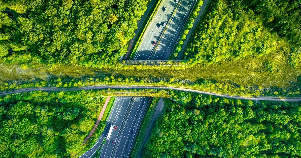 Sustainable & Climate-Smart Infrastructure Explained | World Wildlife Fund