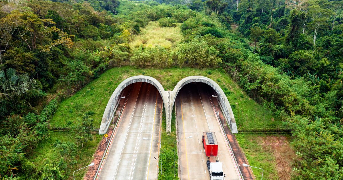 UN Decade of Sustainable Transport: Why It Matters | WWF