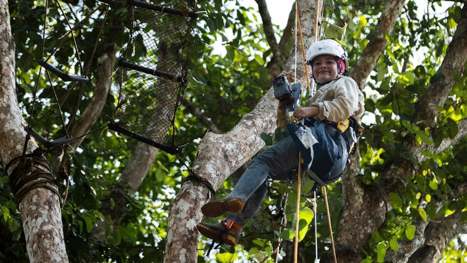 The Amazon Rainforest | World Wildlife Fund