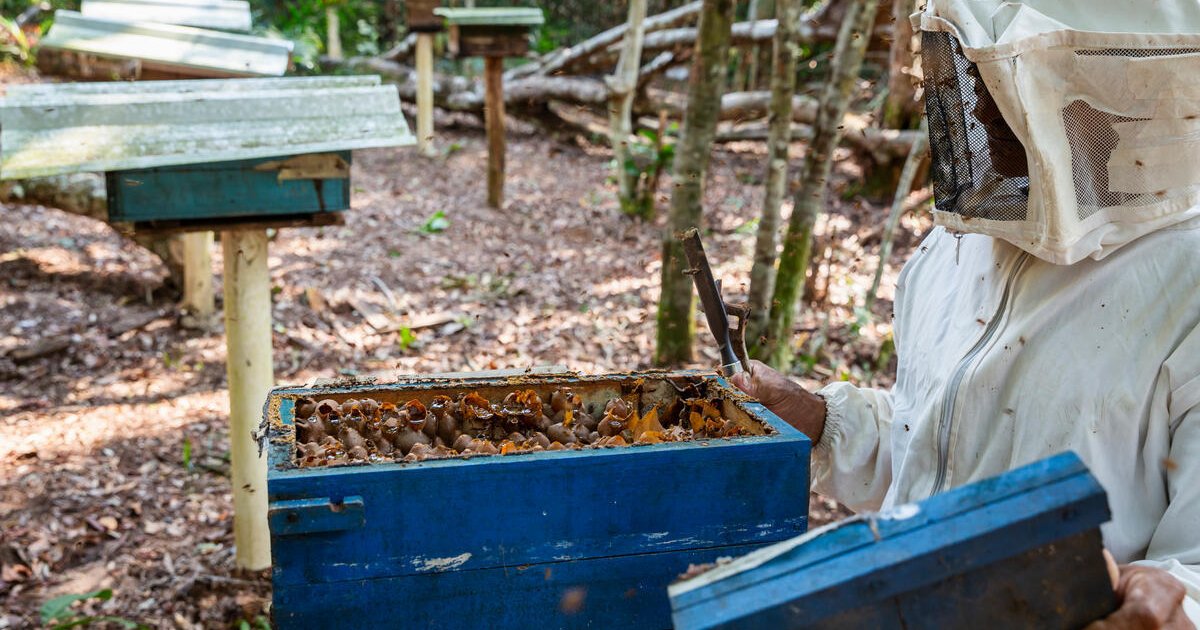 Brazil Announces Expanded Focus on Community-Led Conservation | World ...