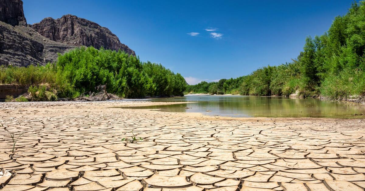 The Rio Grande is running dry. Here's how to save the river. | WWF