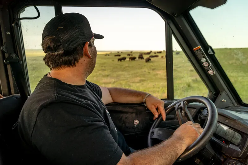 Why Congress Must Help Restore America’s Bison | World Wildlife Fund