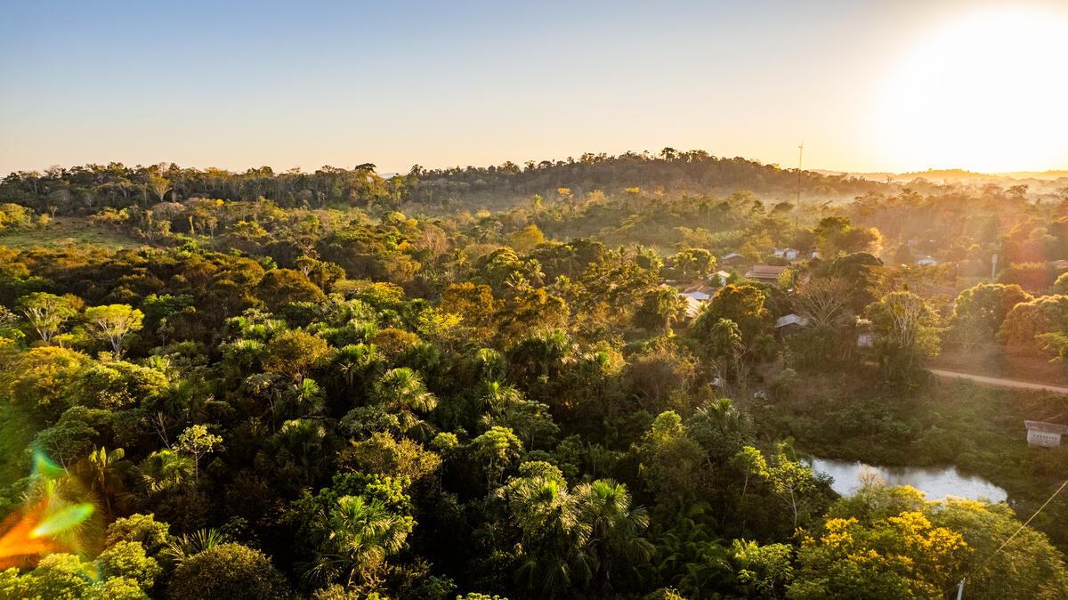 Lessons Learned From the Amazon's Indigenous Paiter Surui People ...