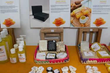 Stingless bees provide honey, income, connection in the Yucatan | WWF