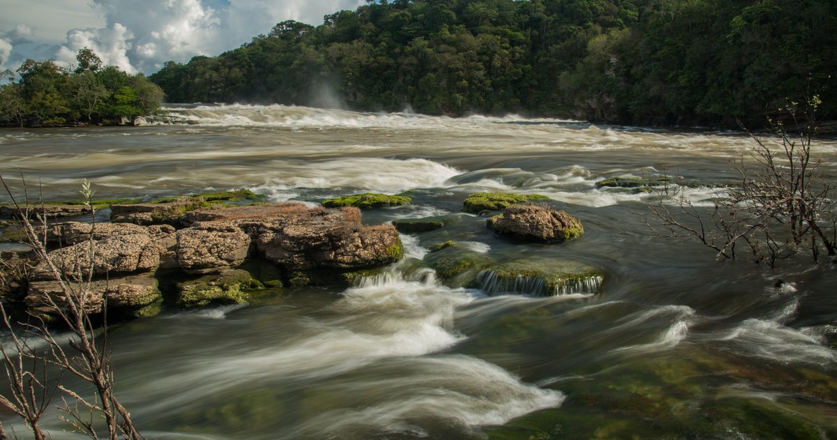 Protecting the Amazon for Nature and Humanity’s Future | World Wildlife ...