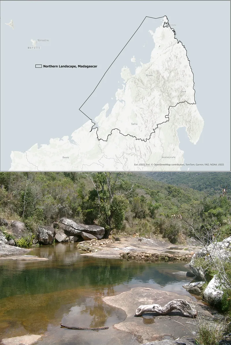 Nature-Based Solutions Origination Platform | Projects | World Wildlife ...