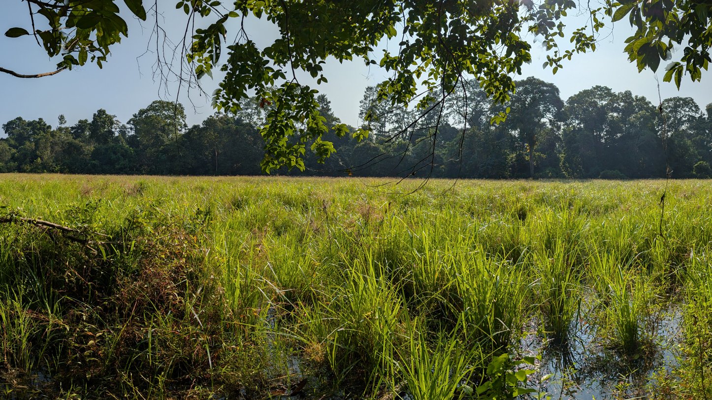 Restoring Lake Systems for Wildlife in Bhutan | World Wildlife Fund
