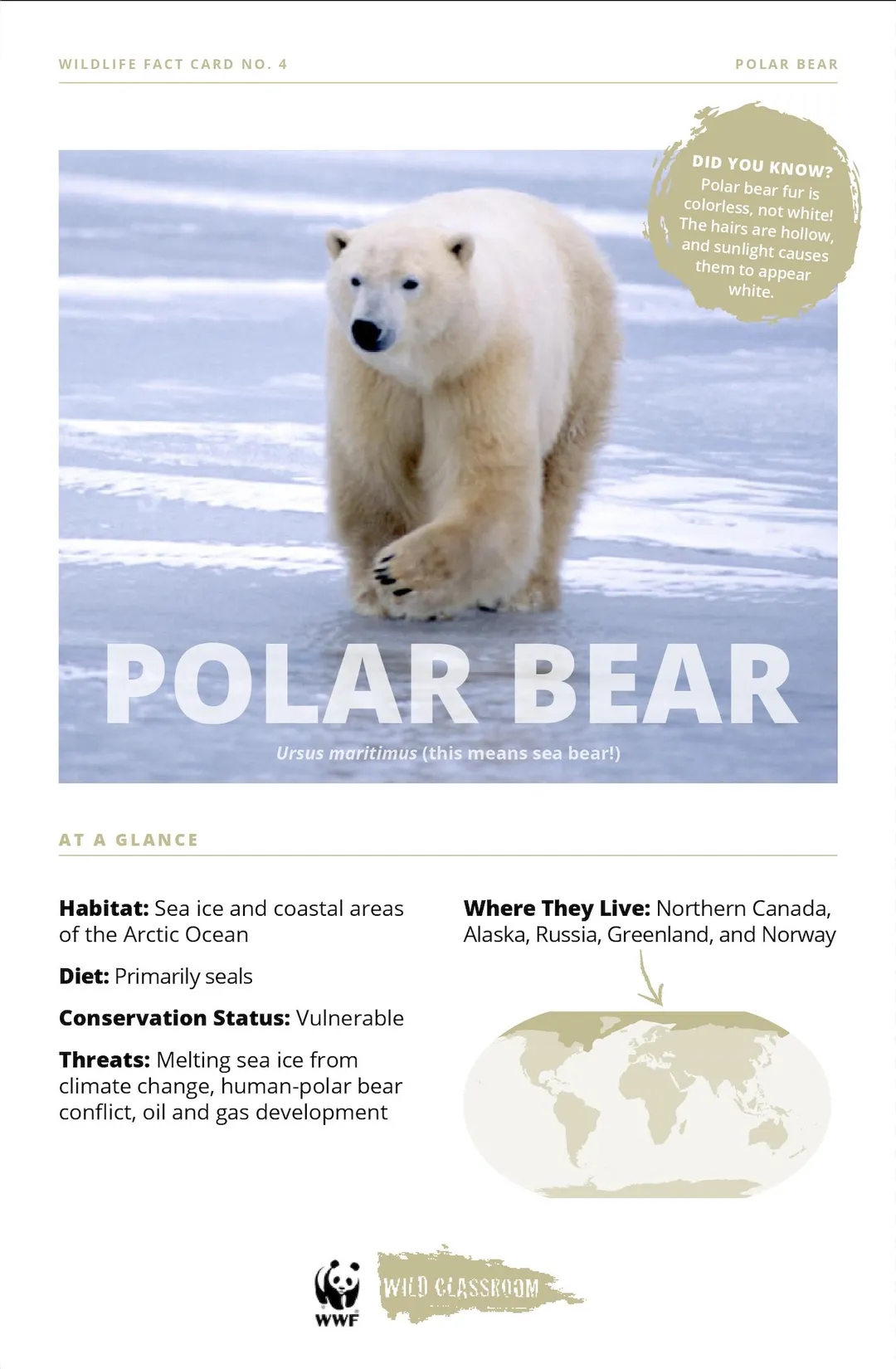 All learning activities | WWF