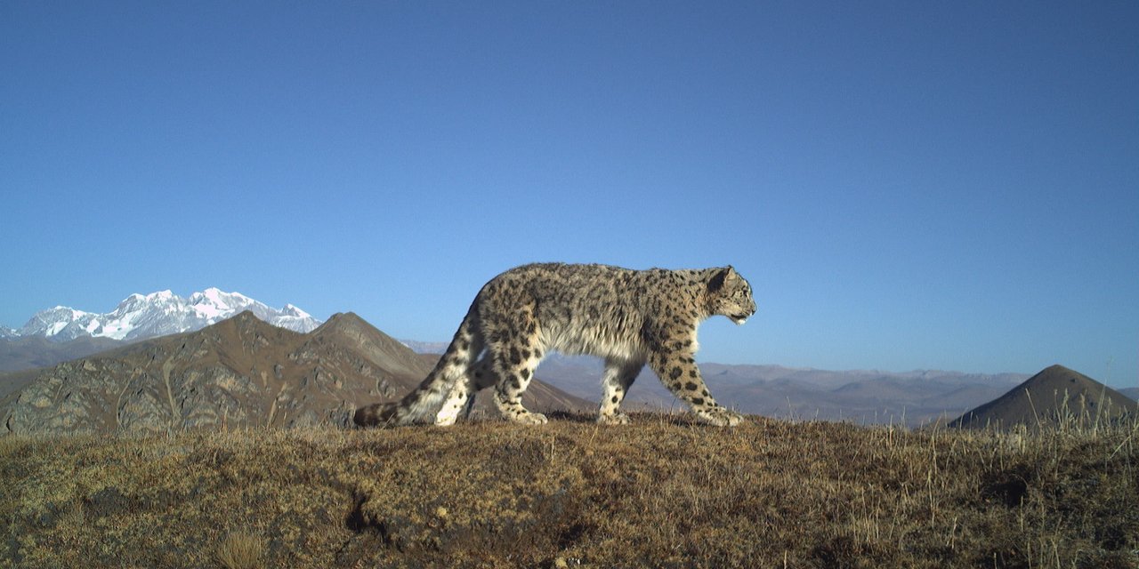 Strengthening Marine Communities | World Wildlife Fund