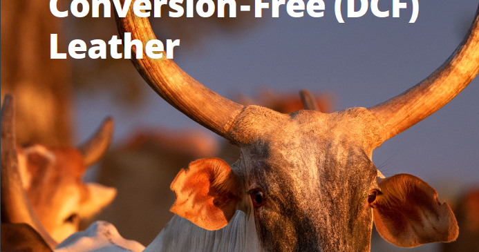 Traceability Guide for DCF Leather | WWF