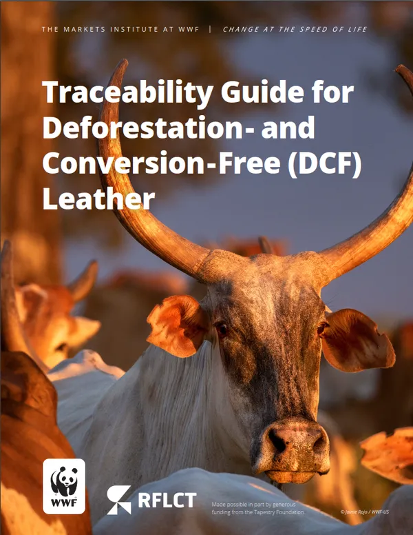 Traceability Guide for DCF Leather | World Wildlife Fund
