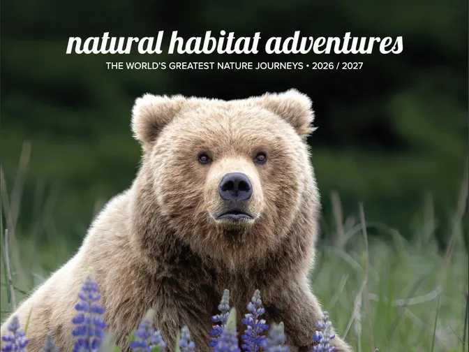 WWF Travel: Wildlife Tours and Nature Trips for Conservation | World ...