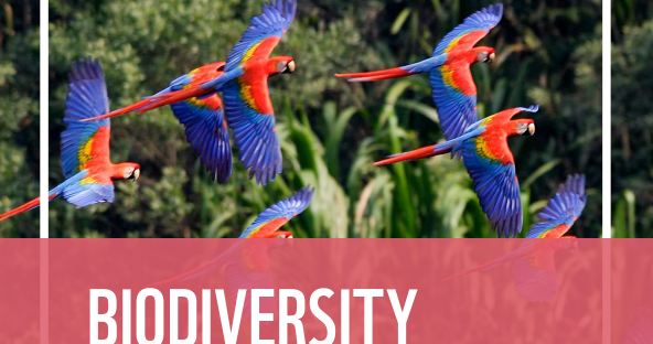 WWF’s Biodiversity Monitoring Guide | World Wildlife Fund
