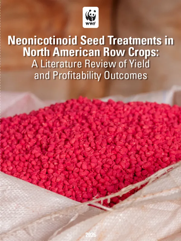Neonicotinoid Seed Treatments: Yield and Profitability Review | WWF